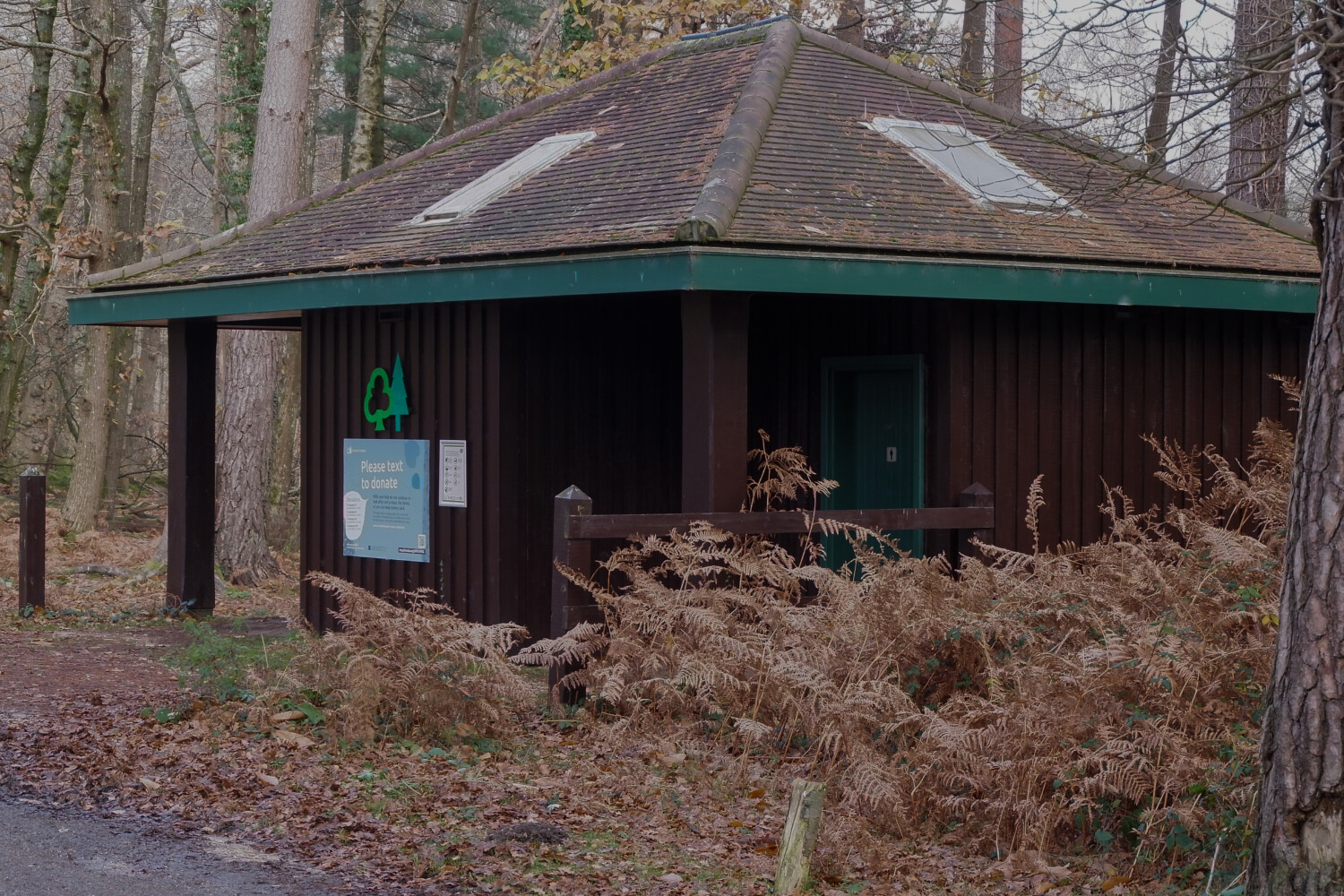 New Forest Cycle Routes - New Forest Cycling Burley