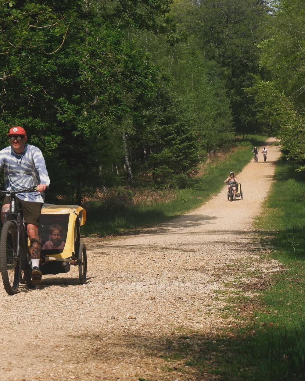 New Forest Cycle Routes - New Forest Cycling Burley