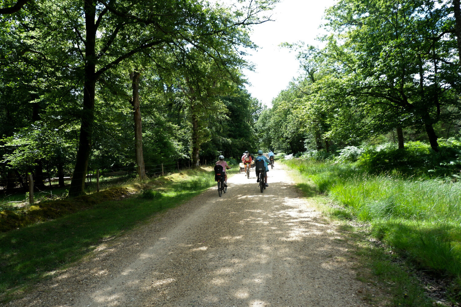New Forest Cycle Routes - New Forest Cycling Burley