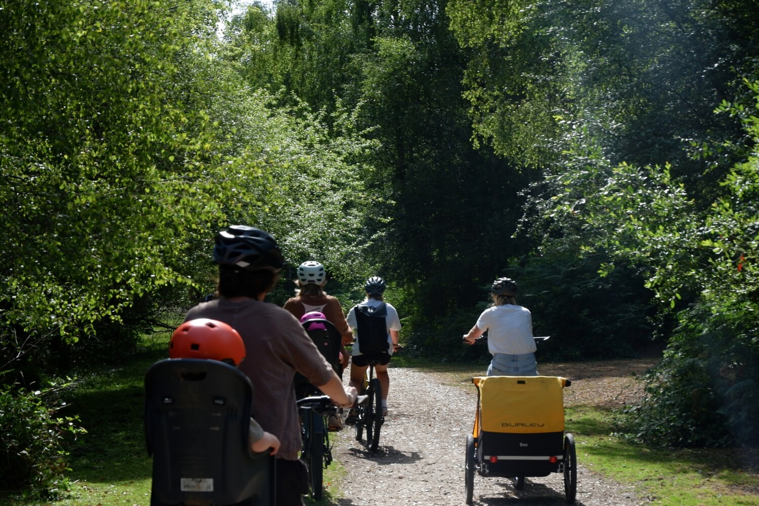 New Forest Cycle Routes - New Forest Cycling Burley