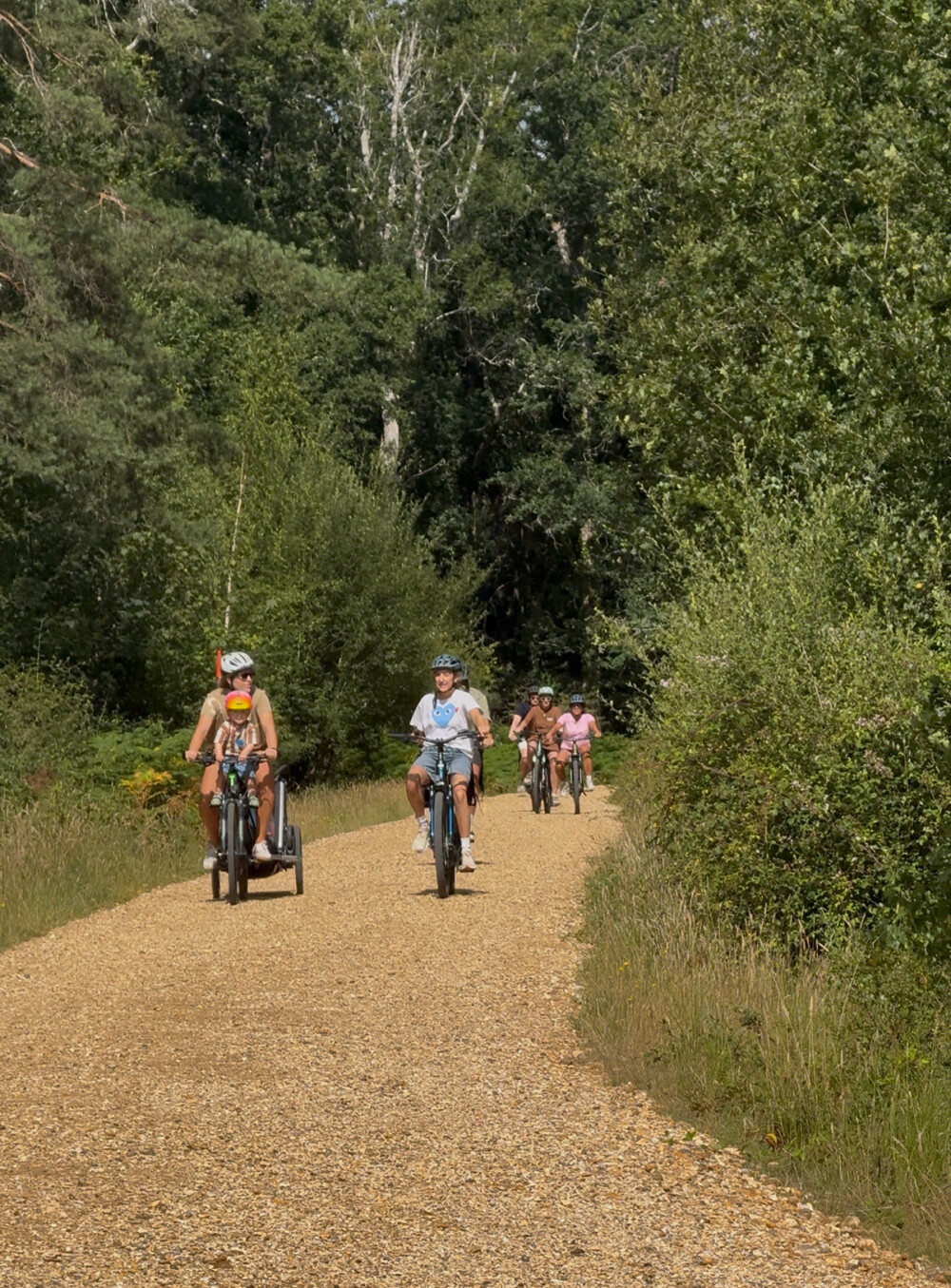 New Forest Cycle Routes - New Forest Cycling Burley