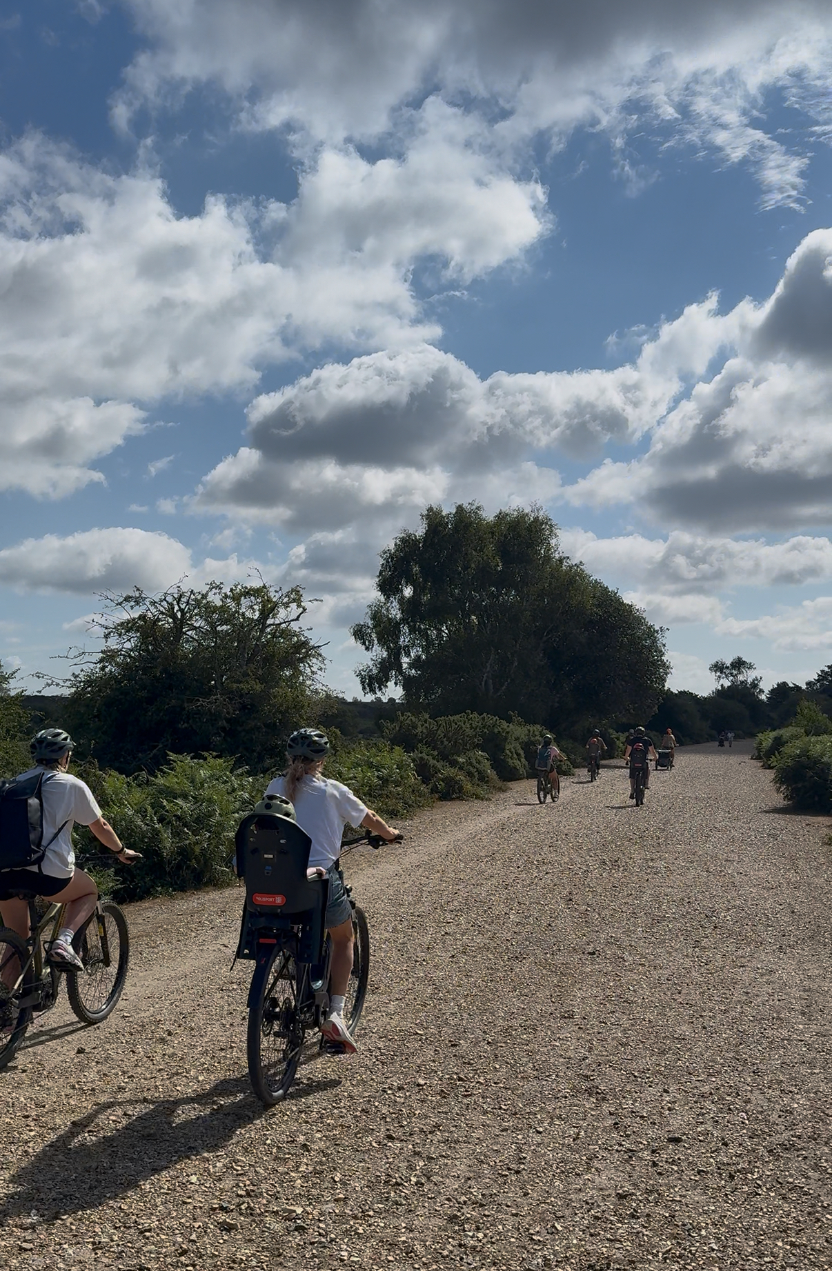 New Forest Cycle Routes - New Forest Cycling Burley